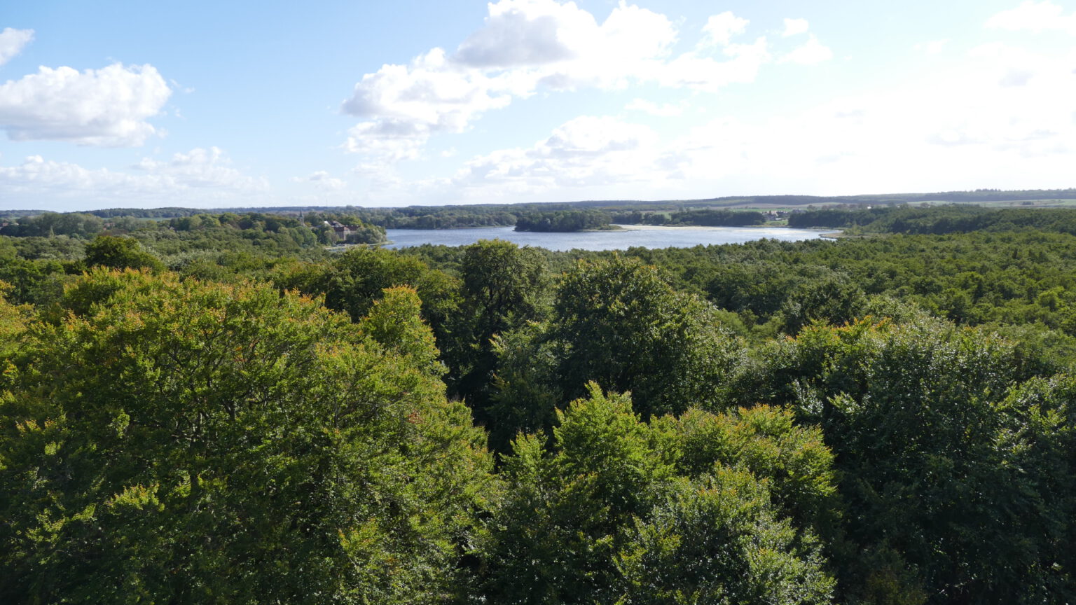Mein Herz schlägt für den Wald – Sozialpsychiatrie Mecklenburg-Vorpommern